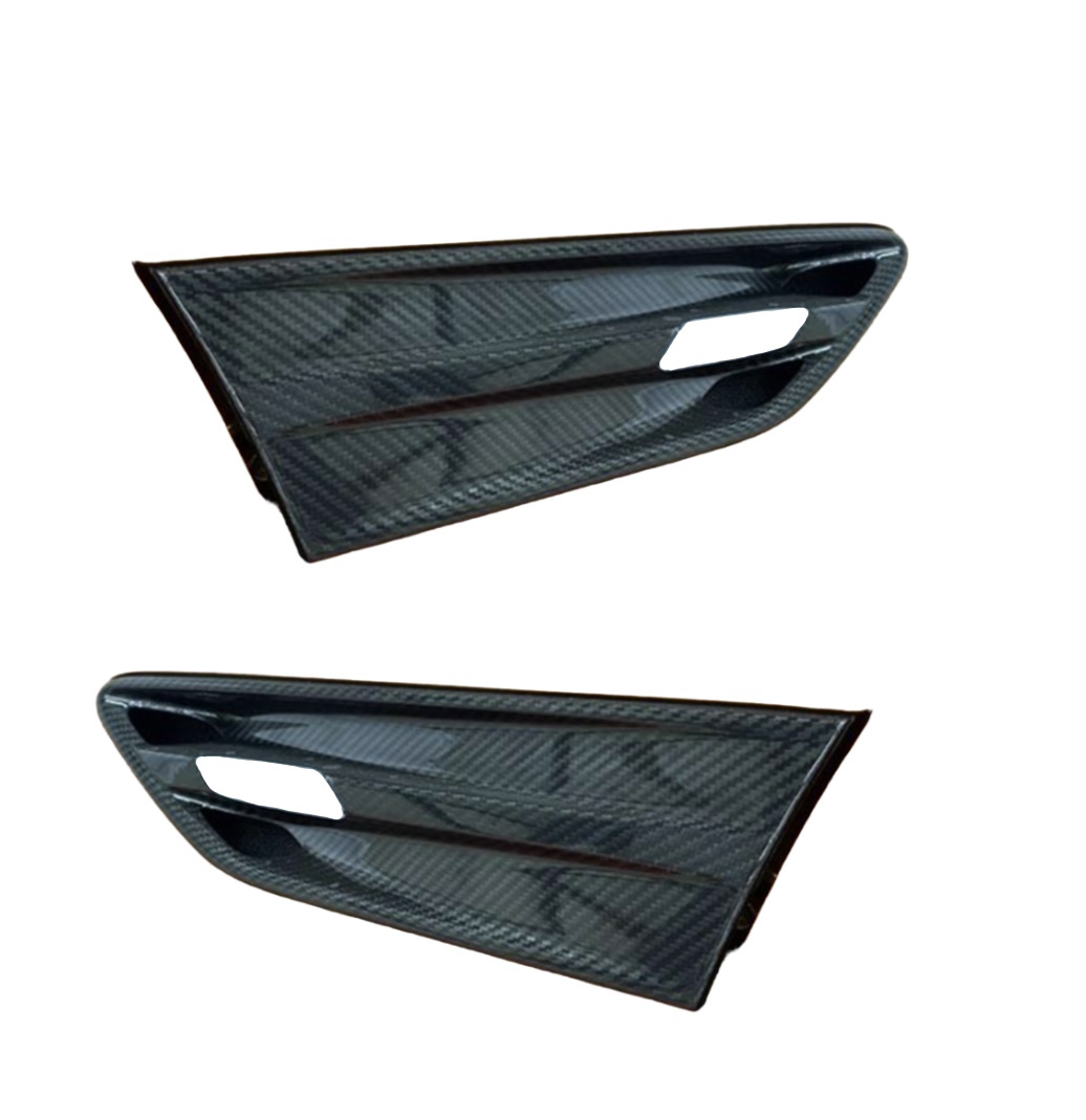 Genuine HSV Carbon Fibre Fender / Guard Inserts for VF GTSR W1 Left ...