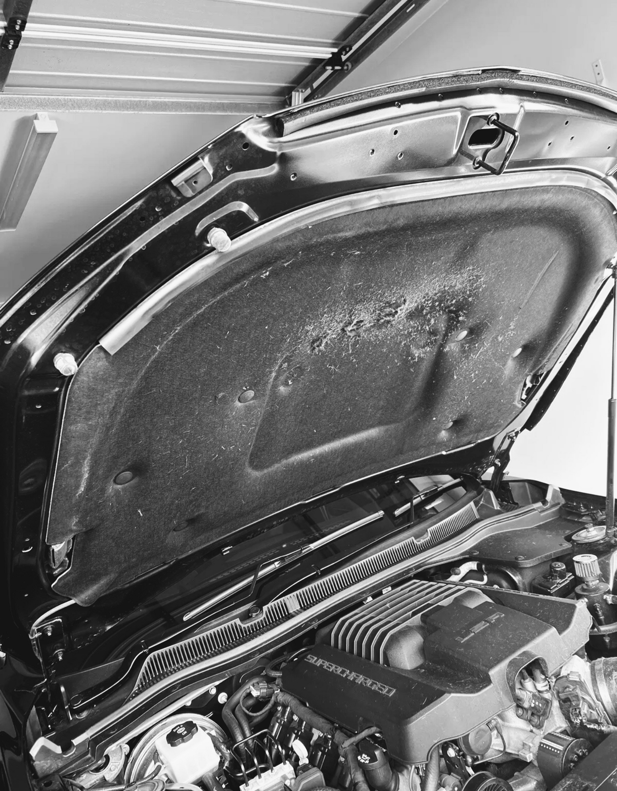 Genuine HSV (Only For LSA Supercharged Engines) Under-Bonnet Sound ...