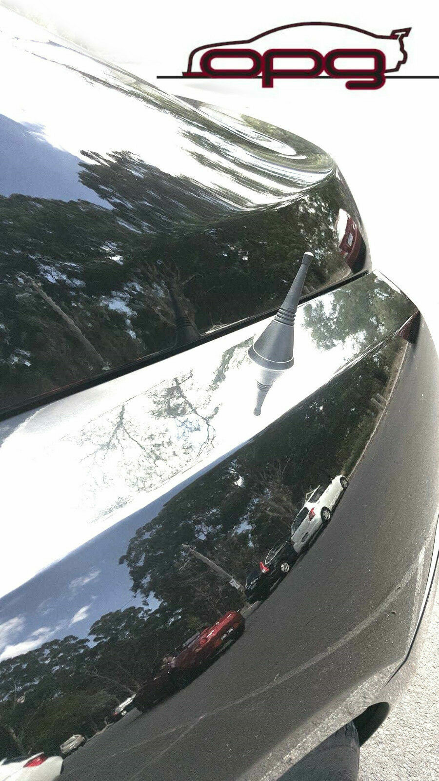 Smart Antenna / Aerial Only Stubby Bee Sting for BMW Z3 Z4 E46 330ci ...