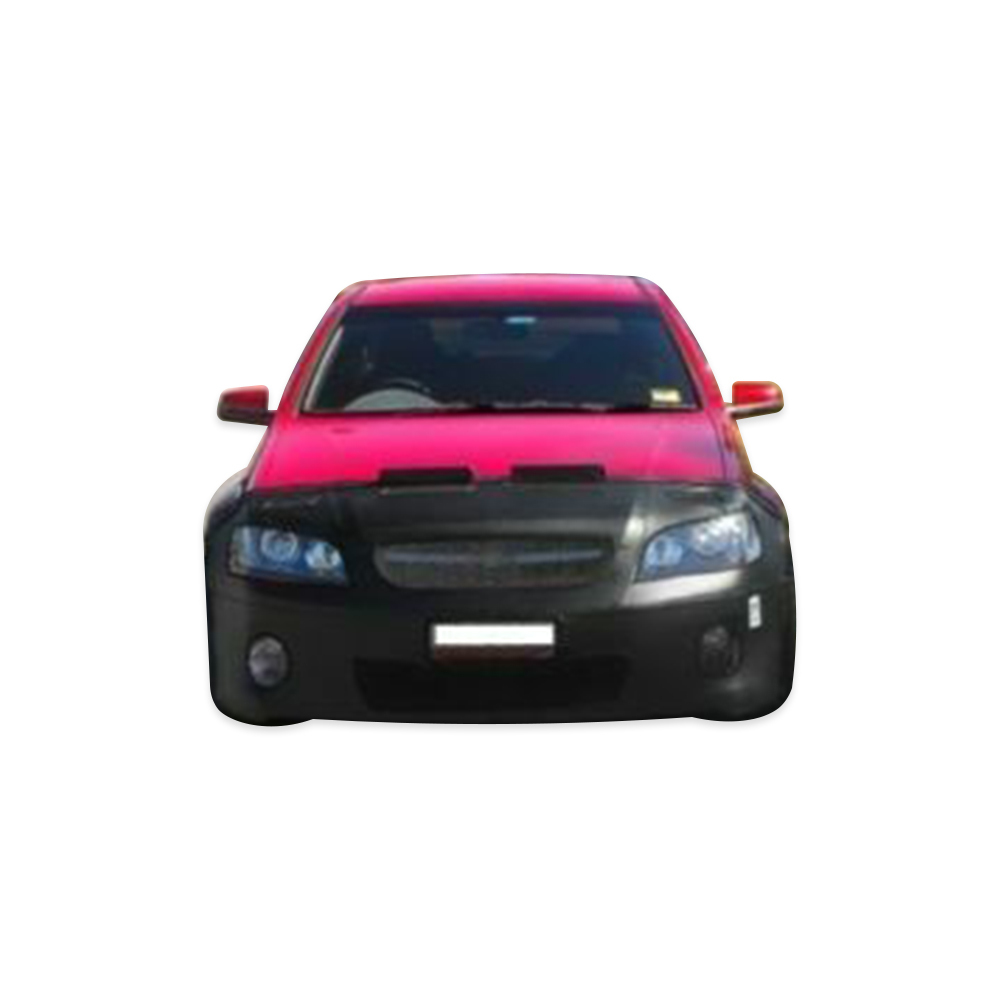 Autotecnica Vehicle Car Bra for Series 2 / II From Sep 2010 VE SS SSV ...